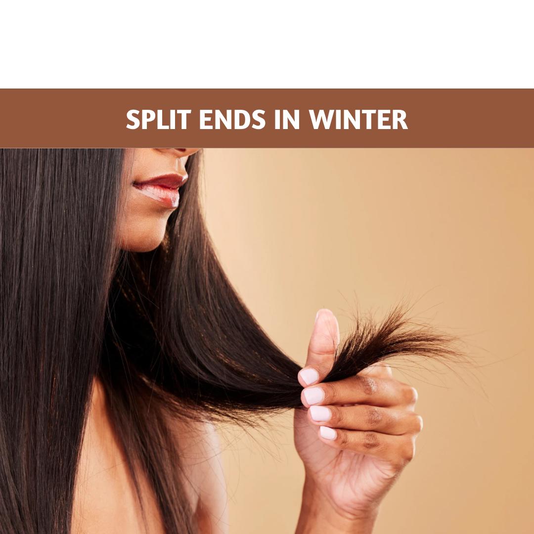 Split Ends in Winters: The Ultimate Guide